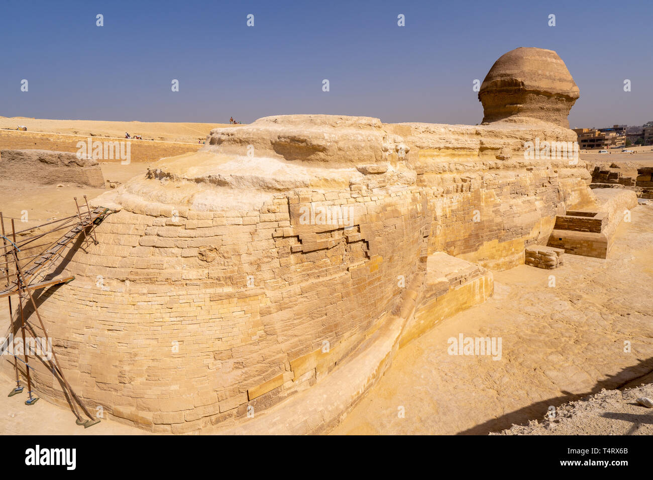 Great Sphinx of Giza from back side. Unusual view point Stock Photo - Alamy