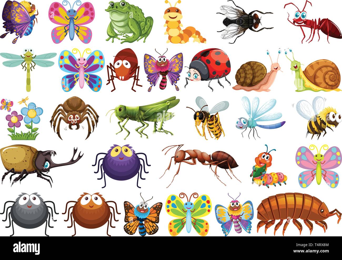 Set of insect character illustration Stock Vector Image & Art - Alamy