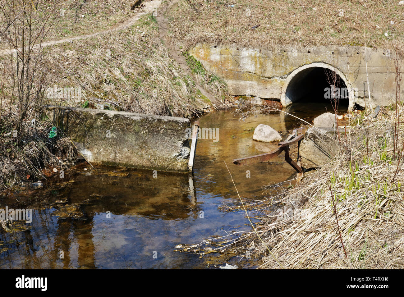 Dirty city waste sewetr water merges into a clean forest stream ...