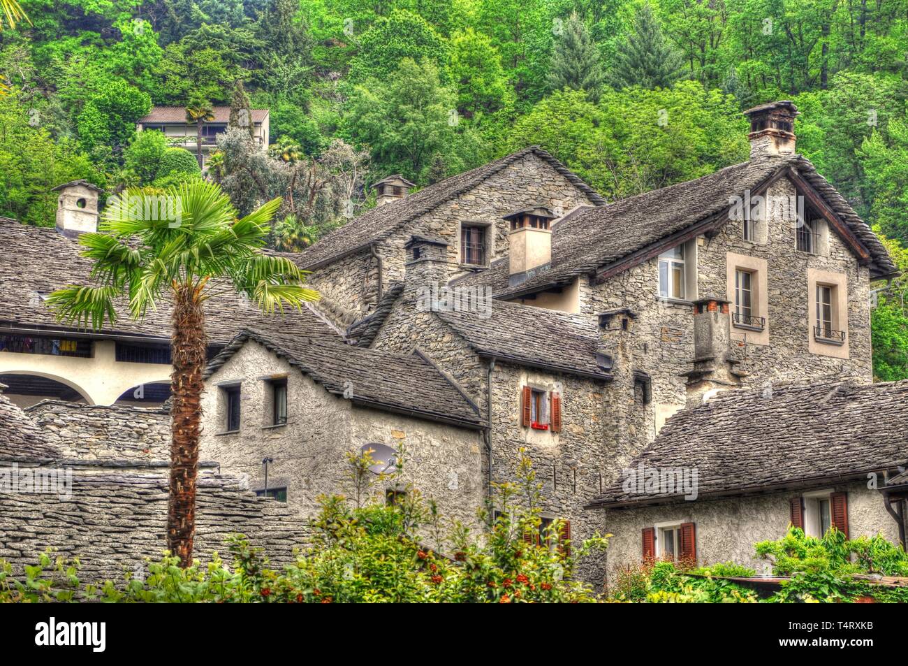 Switzerland palm tree hi-res stock photography and images - Alamy
