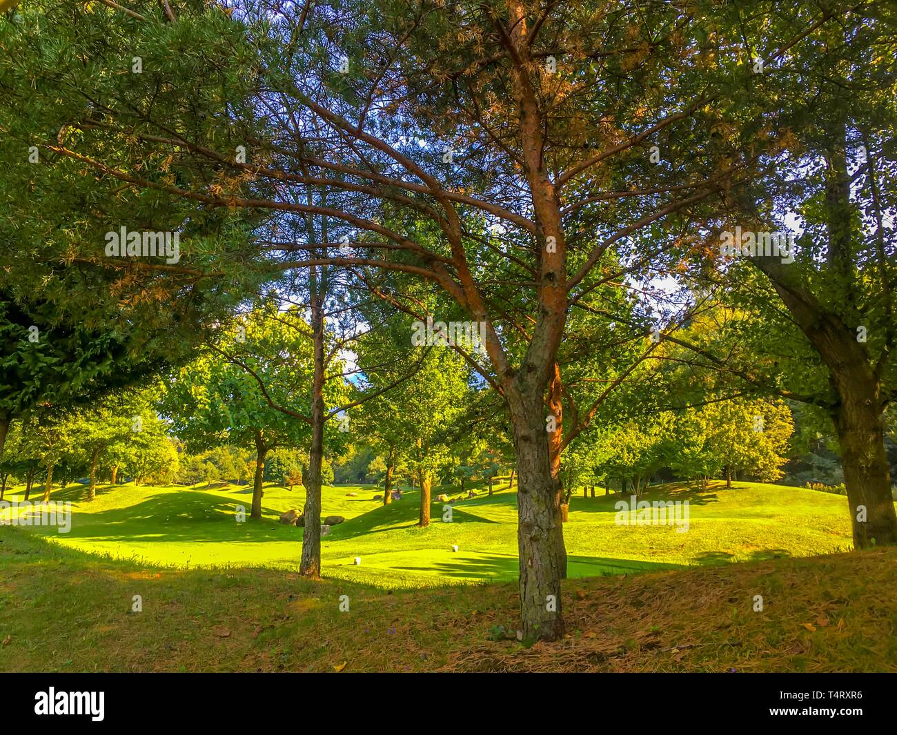 Golf Course in Switzerland Stock Photo - Alamy