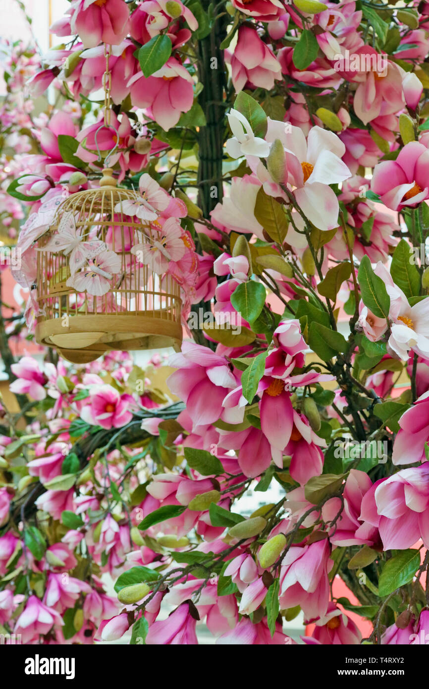 Butterfly Magnolia Tree High Resolution Stock Photography and Images ...