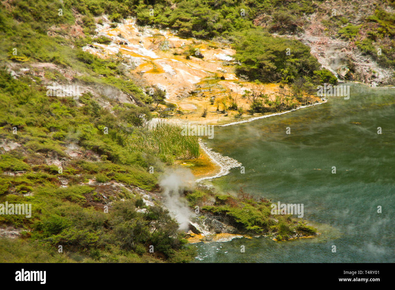 Frying pan lake, Waimangu, New Zealand Stock Photo - Alamy