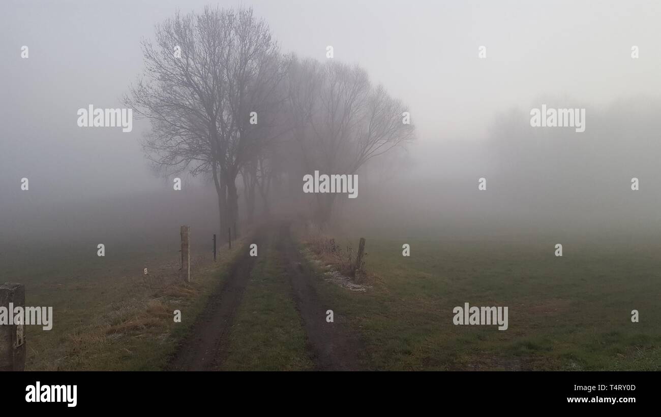 foggy pathway in winter Stock Photo - Alamy