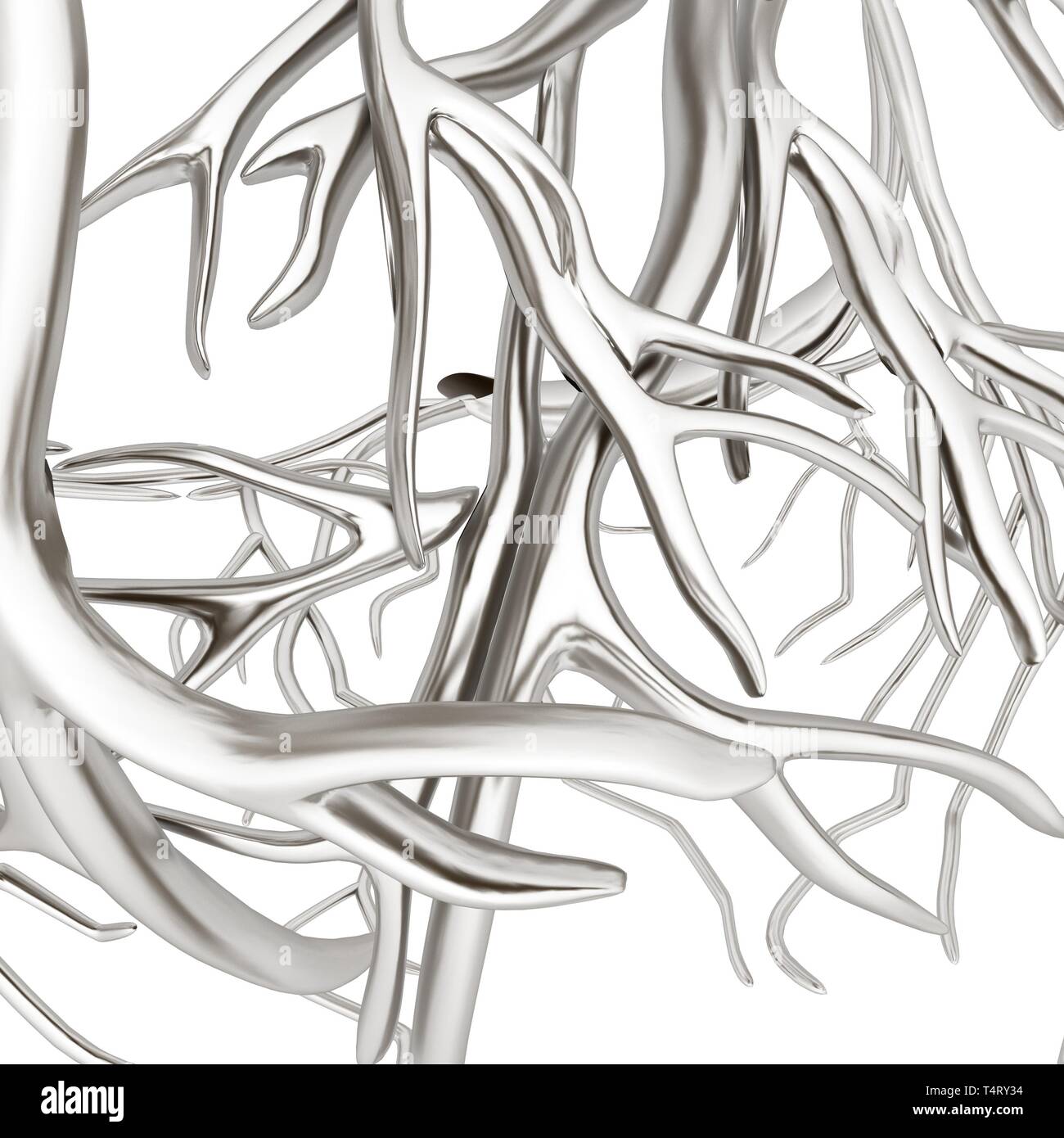 Fantasy veins. Medical illustration Stock Photo - Alamy