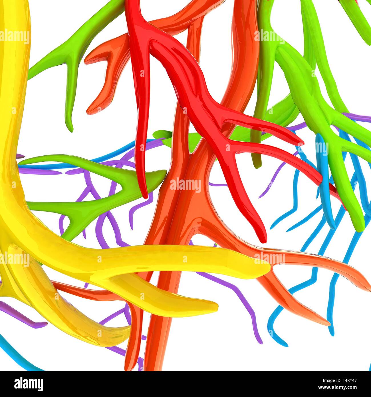 Heart root system hi-res stock photography and images - Alamy
