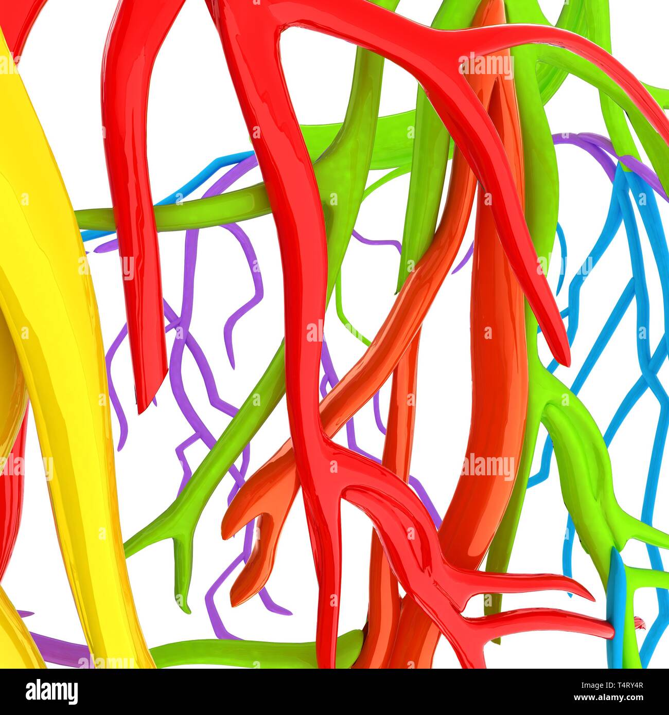 Fantasy veins. Medical illustration Stock Photo - Alamy