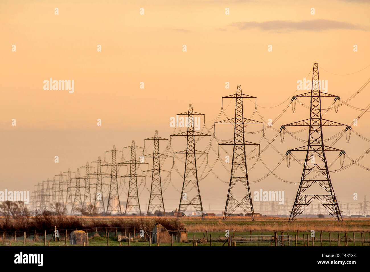 Electricity pylons on Romney Marsh in Kent Stock Photo - Alamy