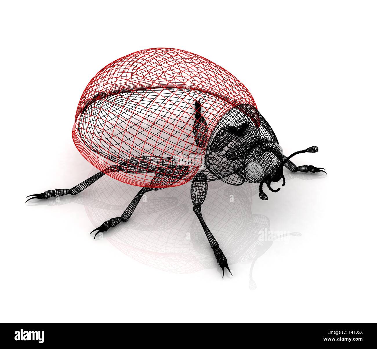 Diamond beetle hi-res stock photography and images - Alamy