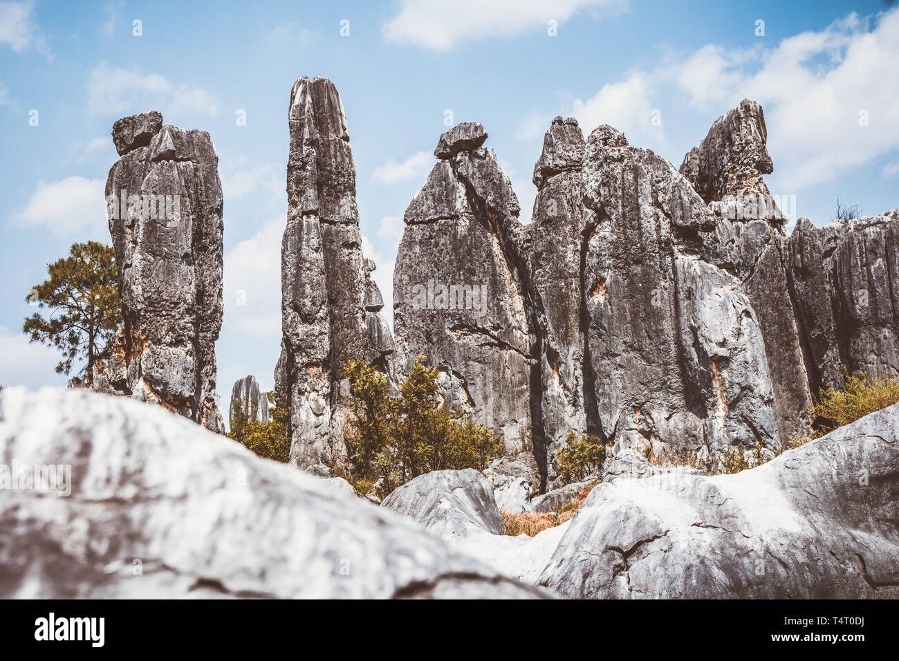 Fantastic tall, limestone rock formations in China Stock Photo - Alamy
