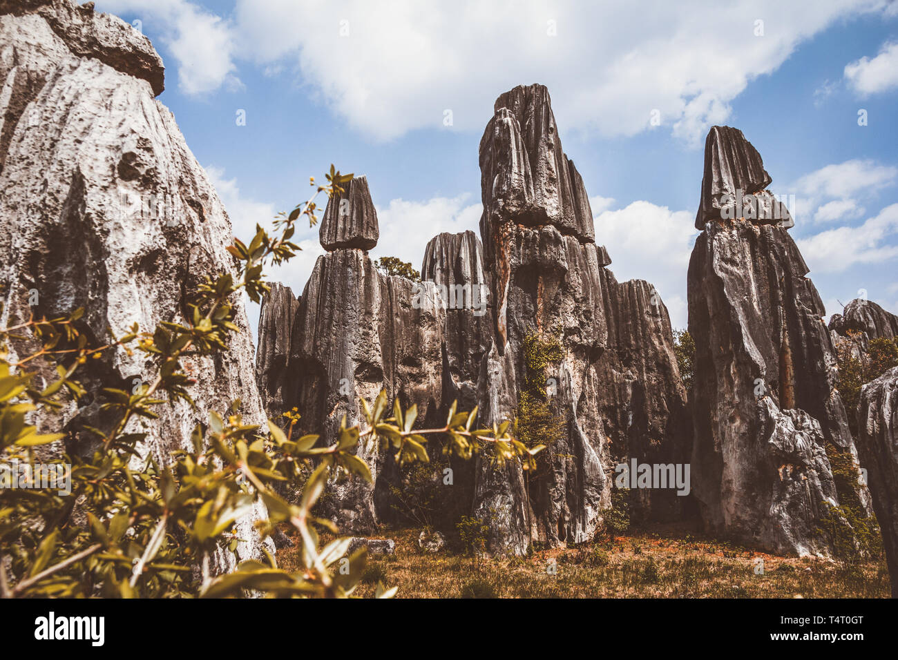 Fantastic tall, limestone rock formations in China Stock Photo - Alamy
