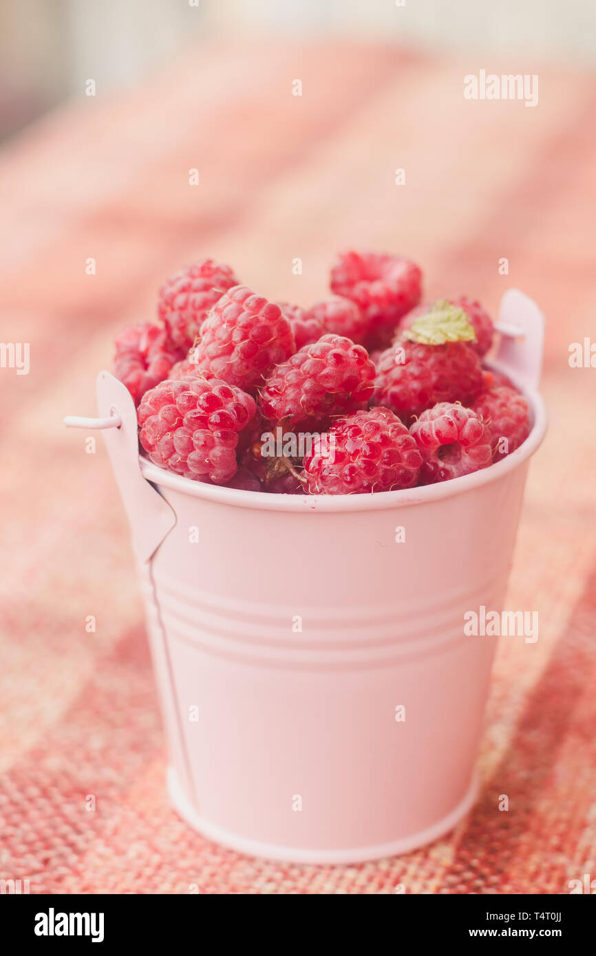 Pink raspberry bucket. Sweet summer berries. Raspberry berry. Garden ...