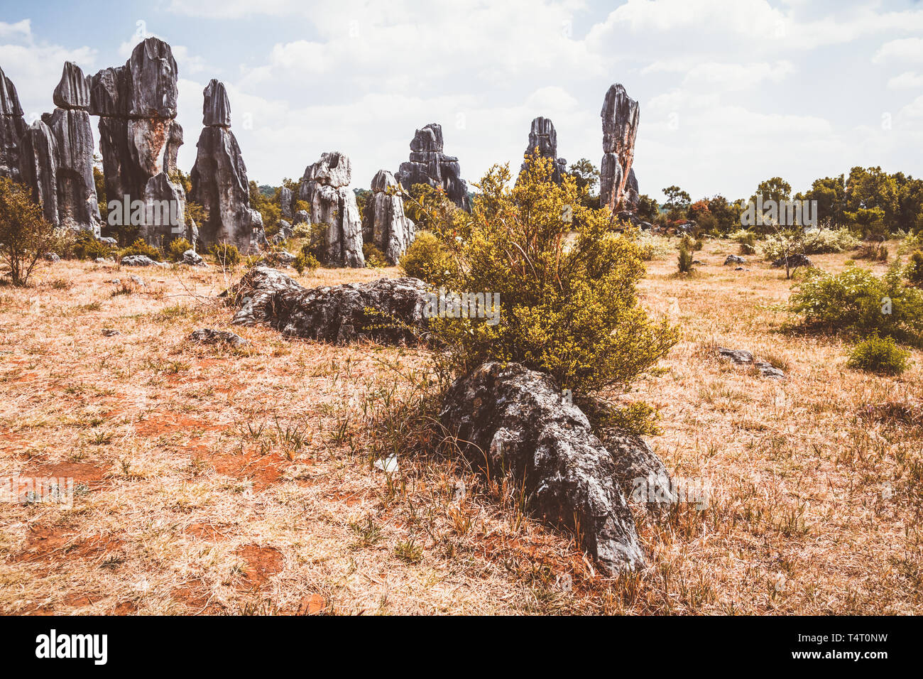 Fantastic tall, limestone rock formations in China Stock Photo - Alamy