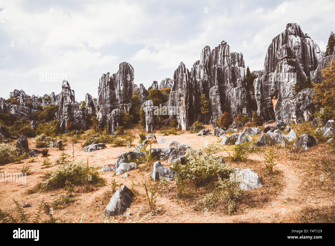 Fantastic tall, limestone rock formations in China Stock Photo - Alamy