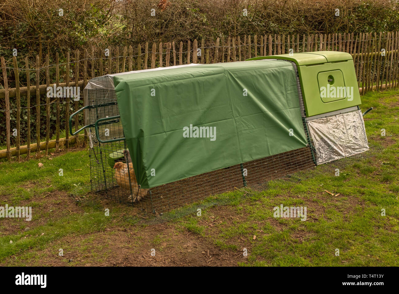 A full length shot of a green modern bright looking chicken coup or hen ...