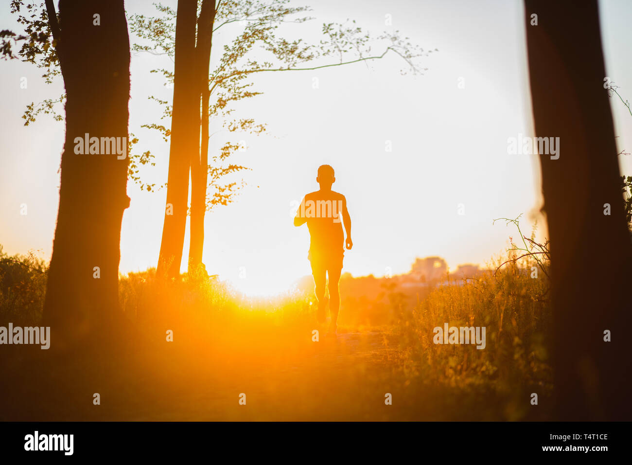 Sport running man in cross country trail run. Fit male runner exercise ...