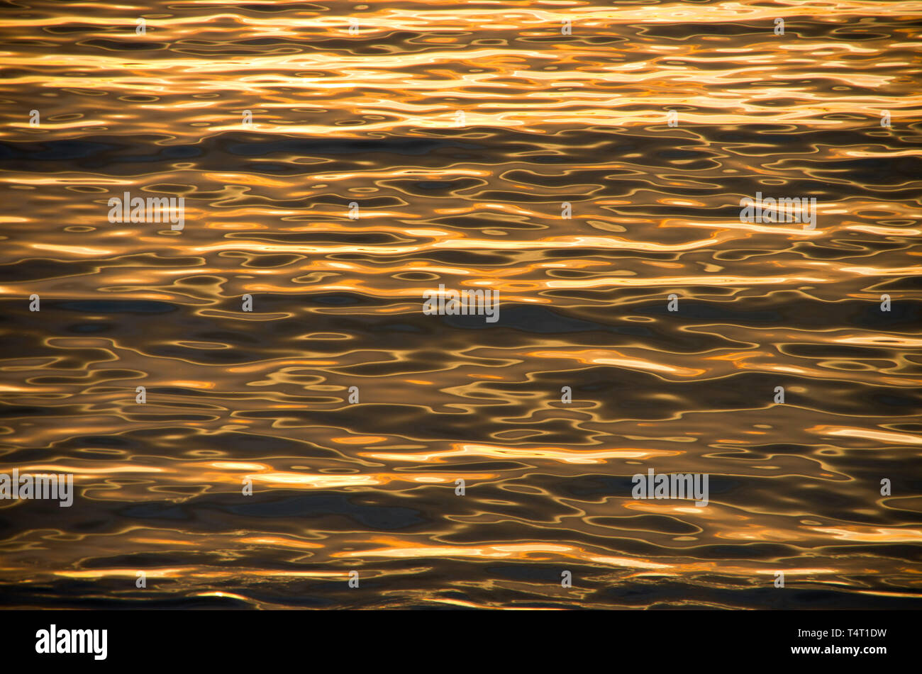 reflective water at sunset Stock Photo - Alamy