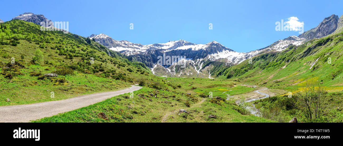 High alpine valley in the upper Allgäu Stock Photo - Alamy