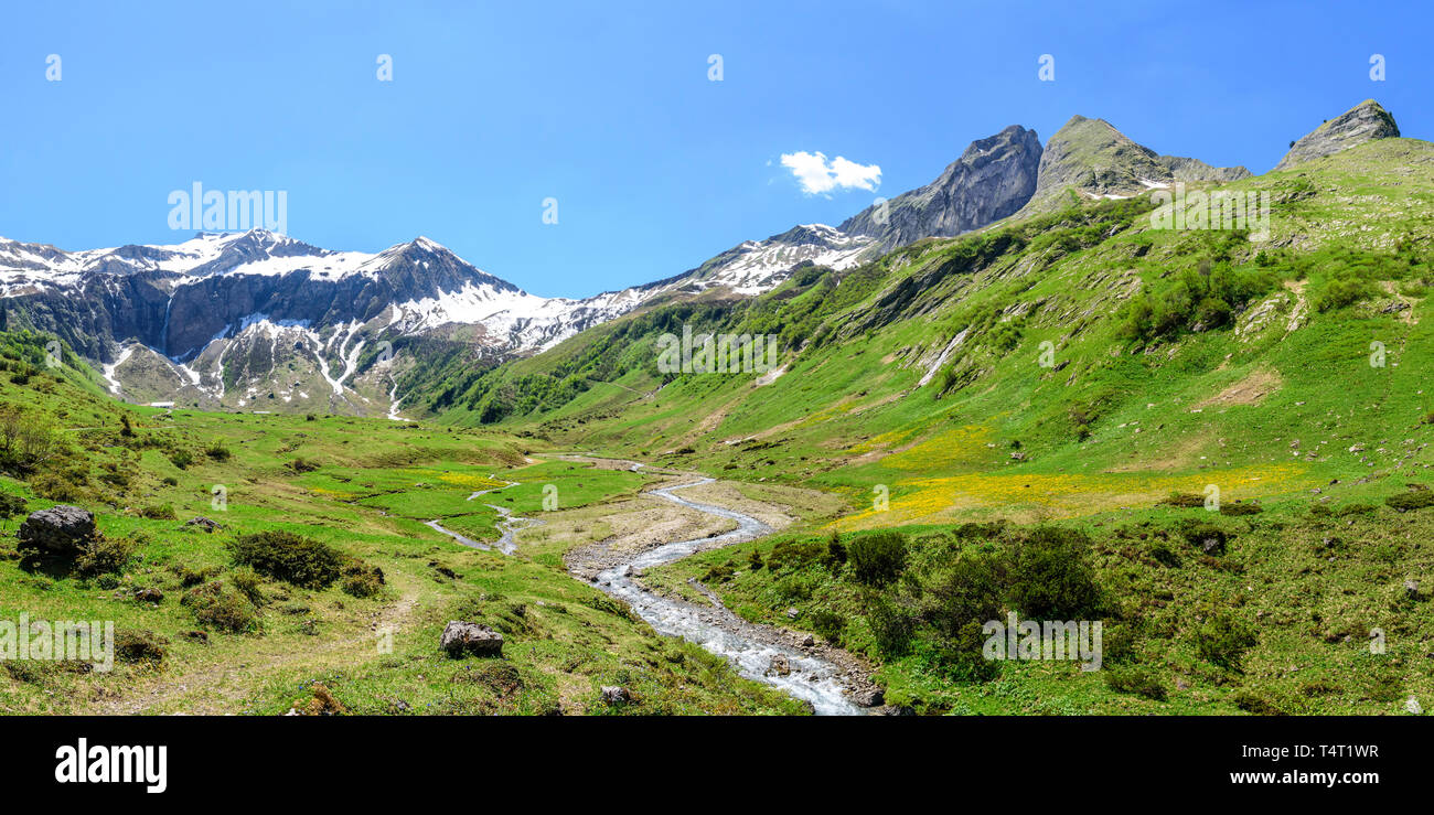 High alpine valley in the upper Allgäu Stock Photo - Alamy