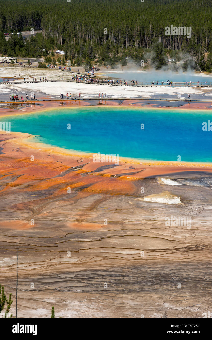 Geyser in grand prismatic spring Basin in Yellowstone National Park in ...