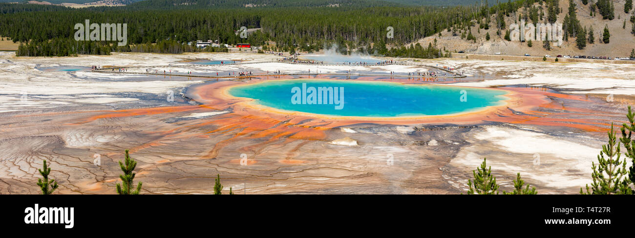 Geyser in grand prismatic spring Basin in Yellowstone National Park in ...
