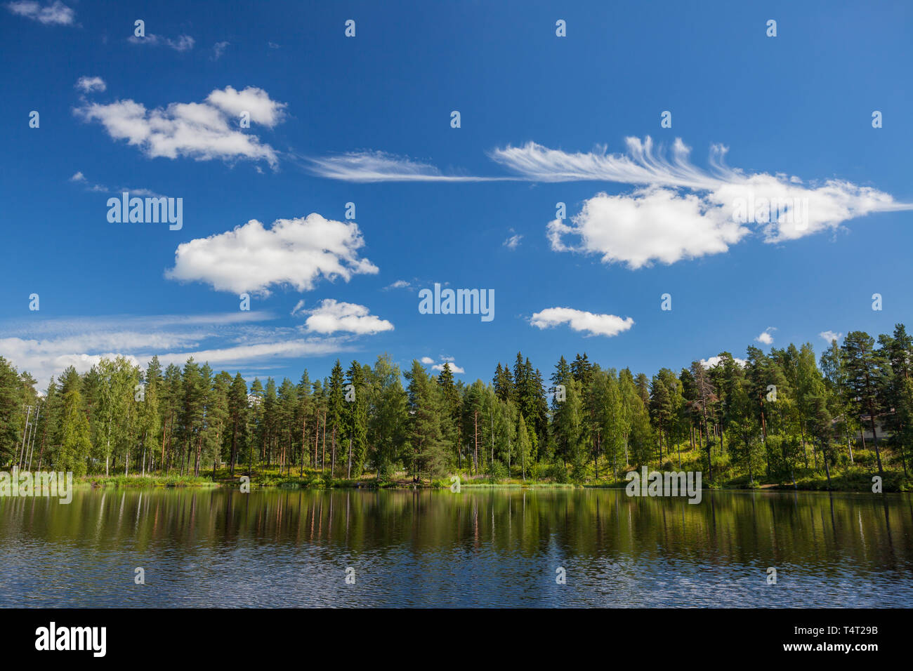 Sunny calm lake landscape from finland Stock Photo - Alamy