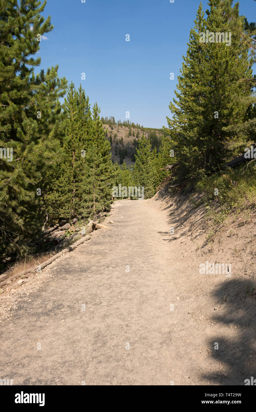 Geyser in grand prismatic spring Basin in Yellowstone National Park in ...