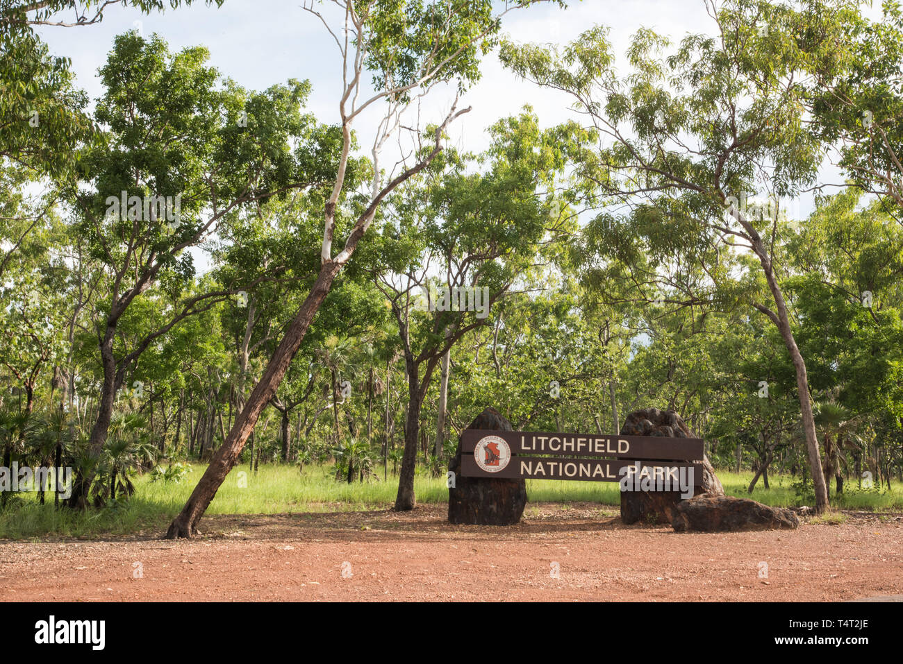 Native bushland at Litchfield National Park in the Northern Territory ...