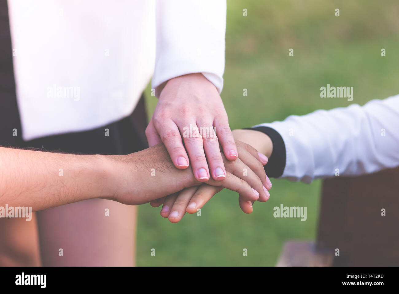 Three hand together in business meeting for team concept Stock Photo ...
