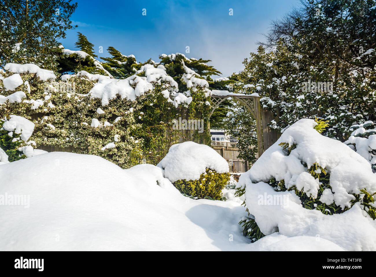 A private garden in Devon covered in snow in the depths of winter Stock ...