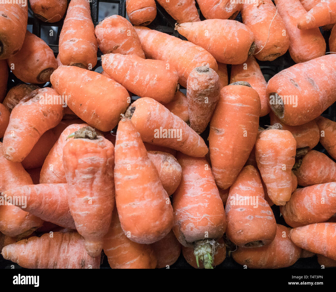 Fresh Carrots Sale On Market High Resolution Stock Photography and ...