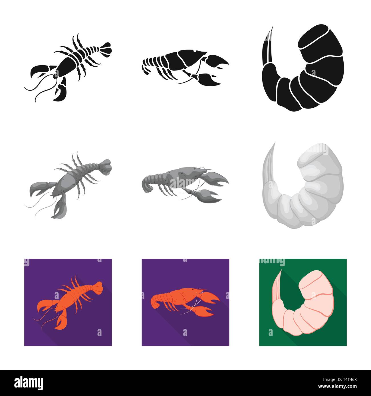 Vector illustration of appetizer and ocean icon. Set of appetizer and ...
