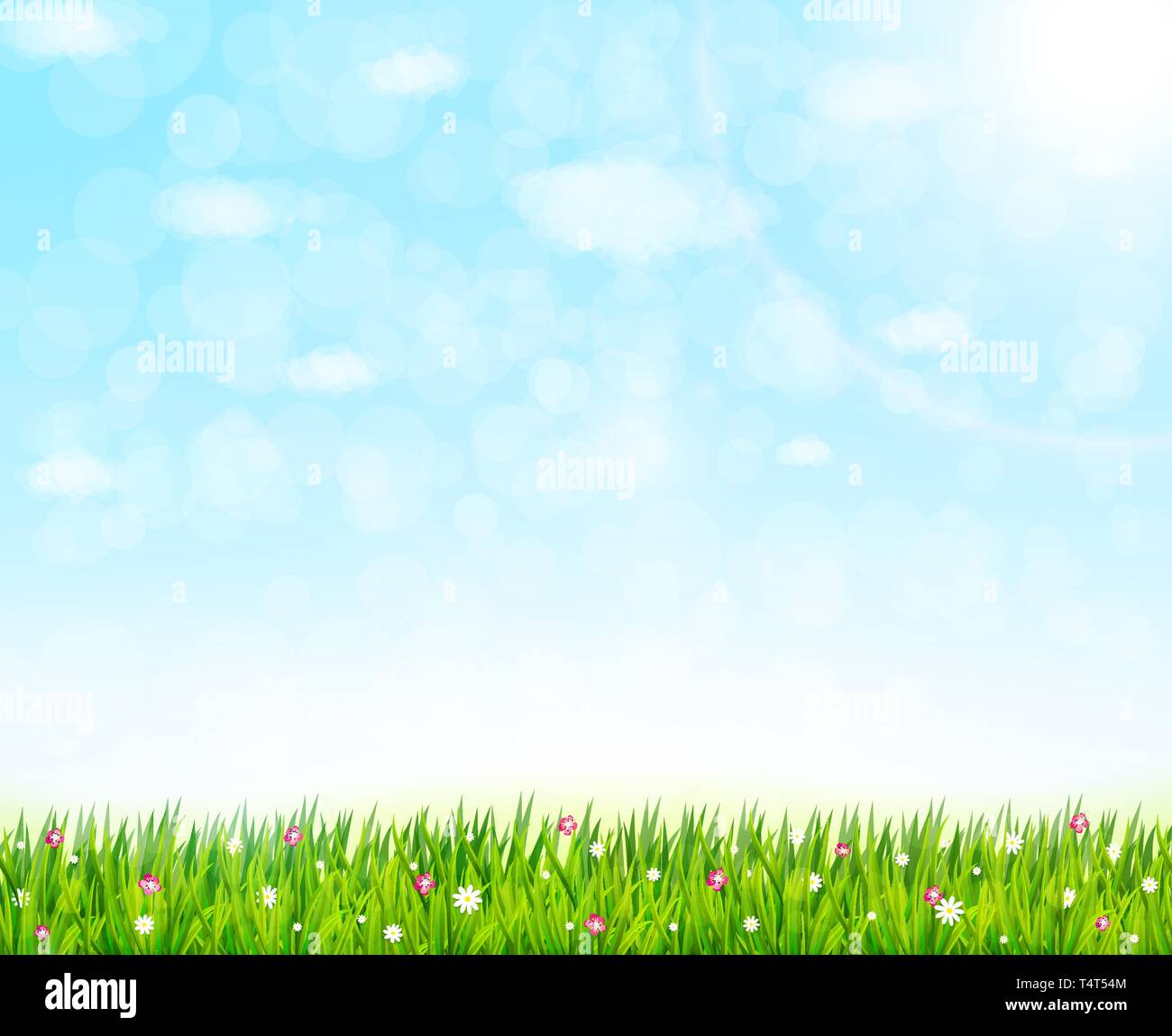 Nature background with green grass and flowers. Vector illustration ...