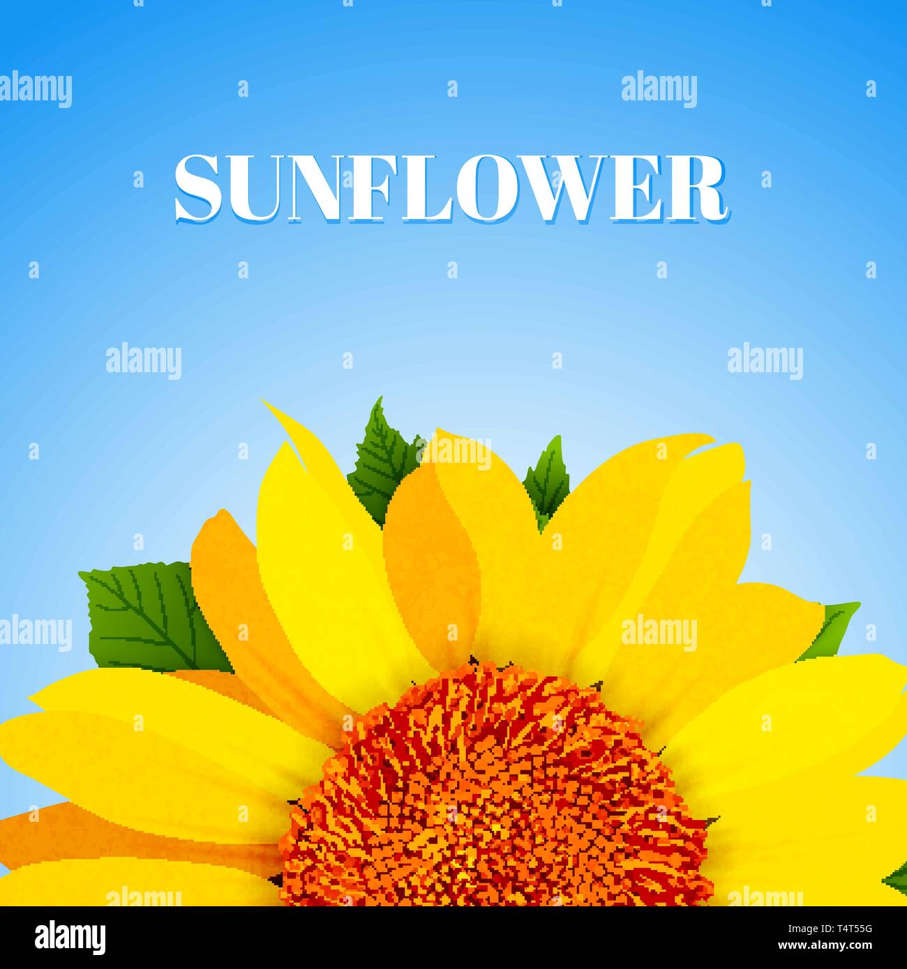 Sunflower on blue background vector Stock Vector Image & Art - Alamy