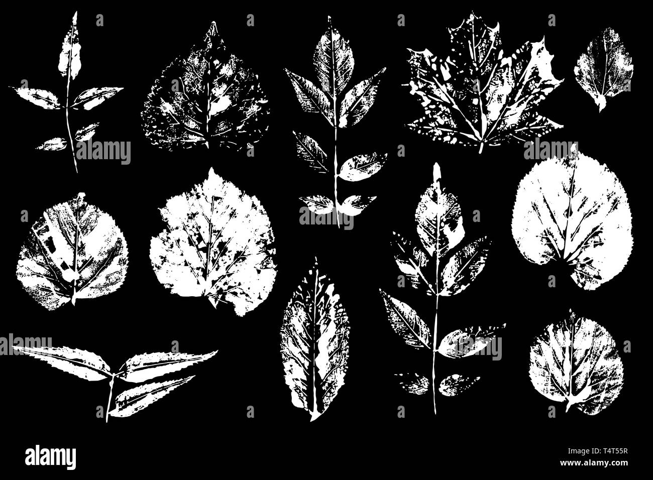 Leaves imprints set. Vector illustration Stock Vector Image & Art - Alamy
