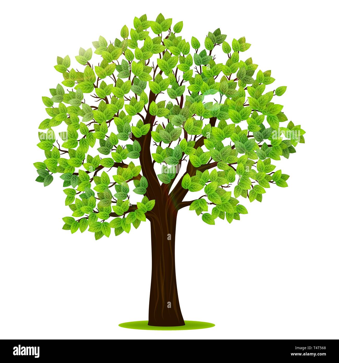Green tree with leaves vector Stock Vector Image & Art - Alamy