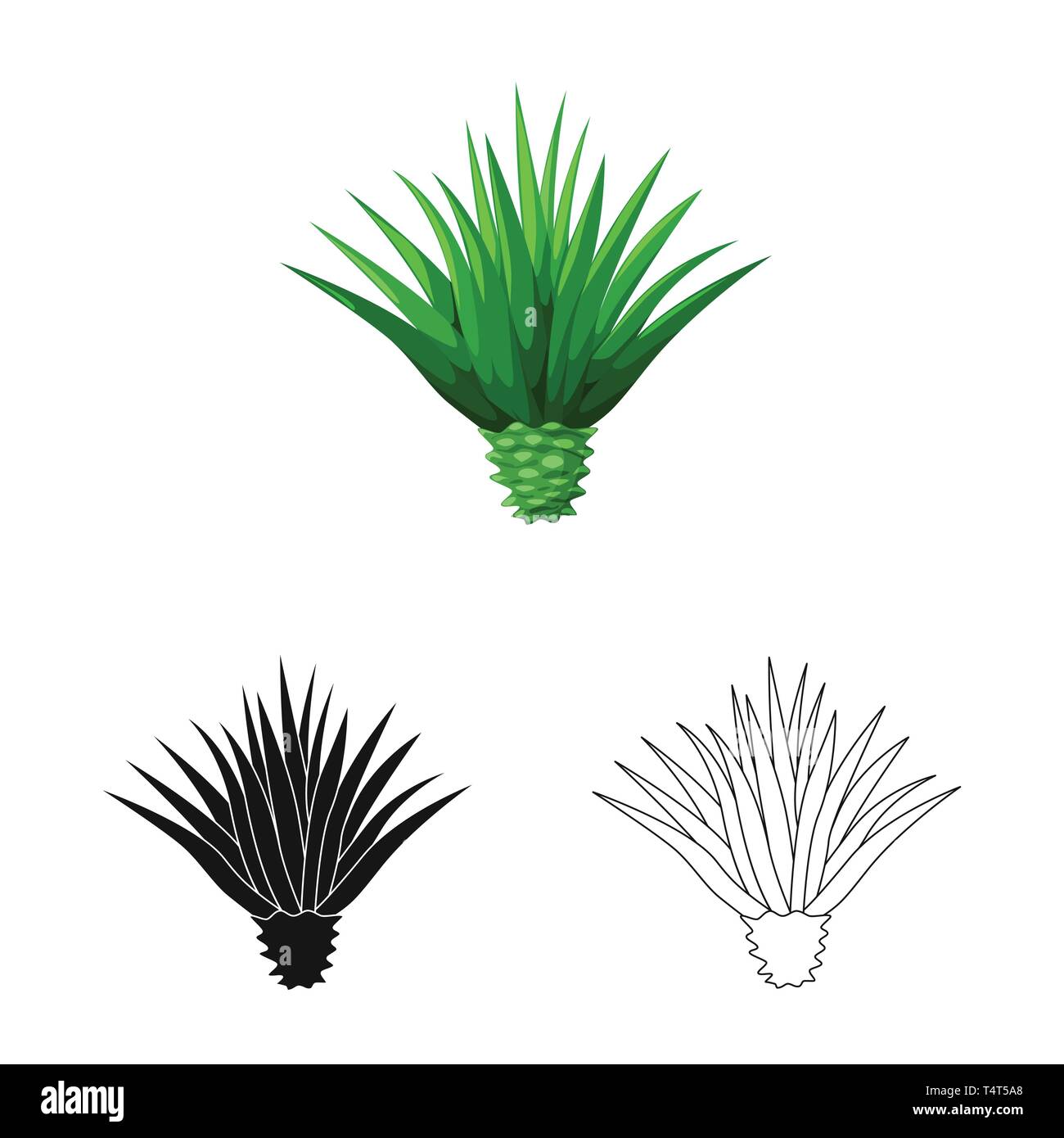 Vector illustration of agave and plant symbol. Collection of agave and ...