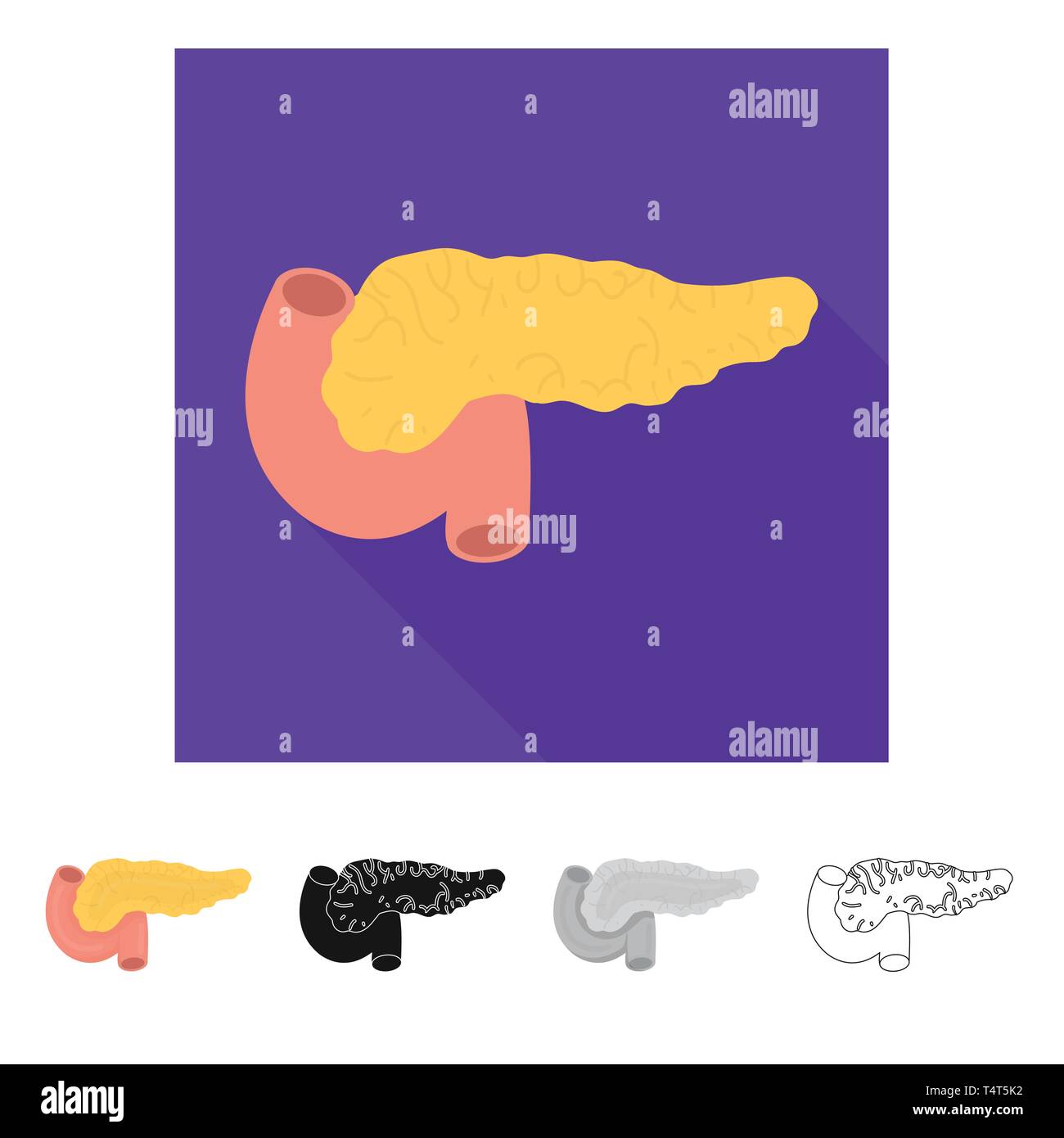 Isolated object of pancreas and organ symbol. Collection of pancreas ...
