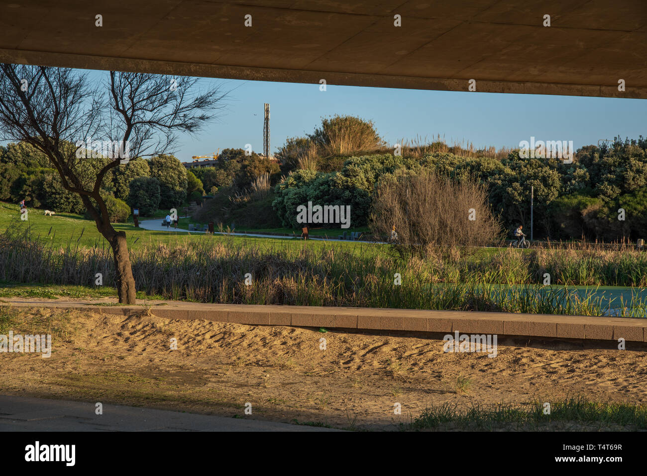 Parque da cidade do porto hi-res stock photography and images - Alamy