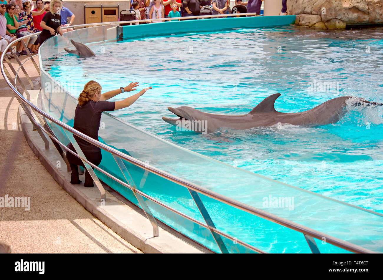 Hand signals hi-res stock photography and images - Alamy