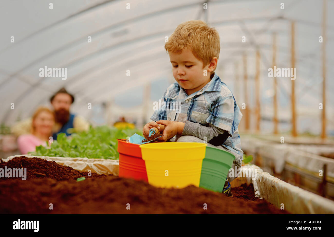 kid in greenhouse. happy kid work in greenhouse. greenhouse kid ...