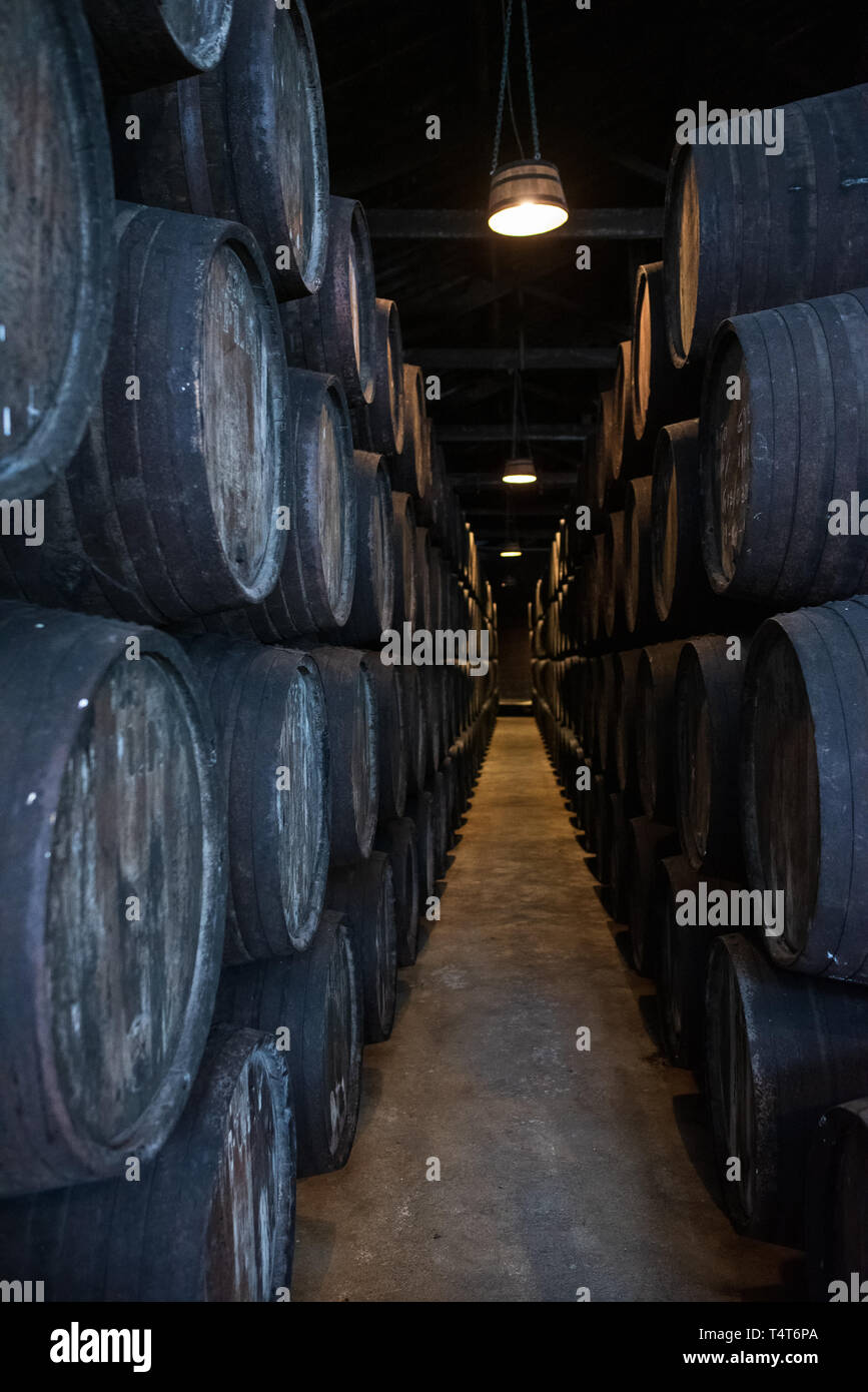 Interior traditional port wine hi-res stock photography and images - Alamy