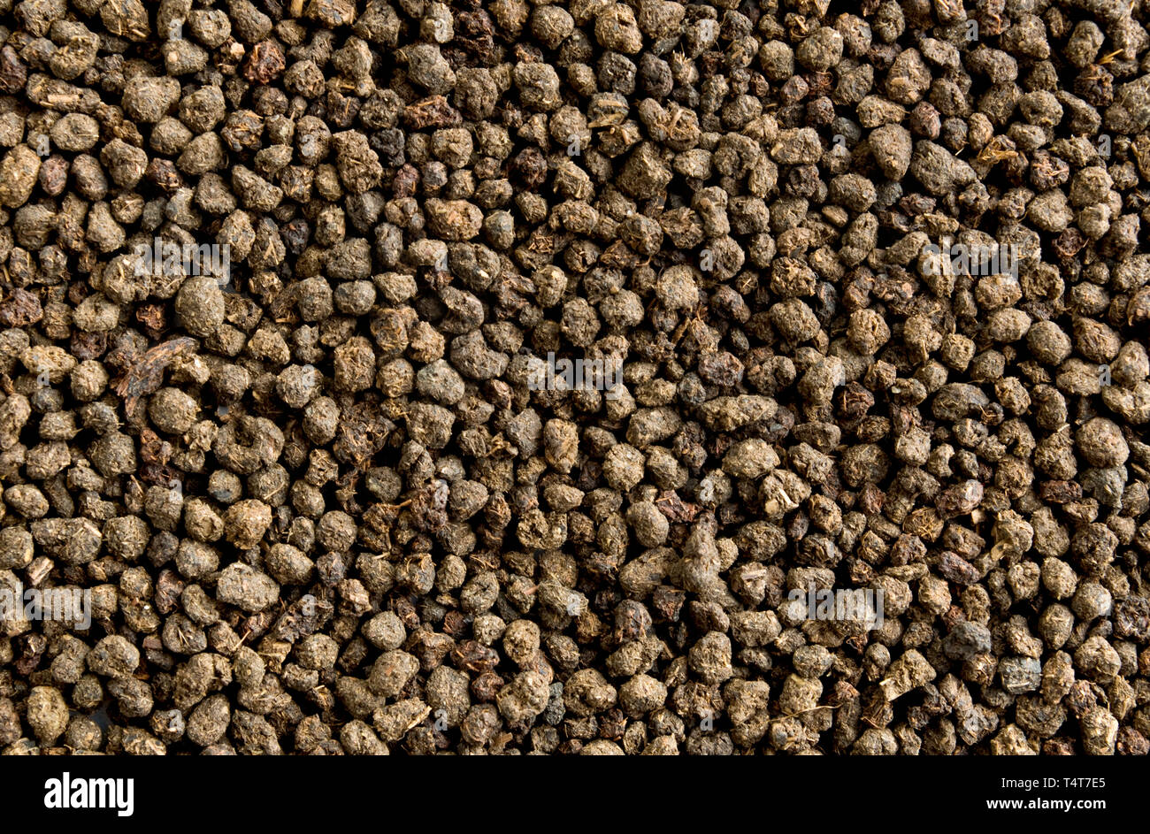 Black tea granulated background Stock Photo - Alamy