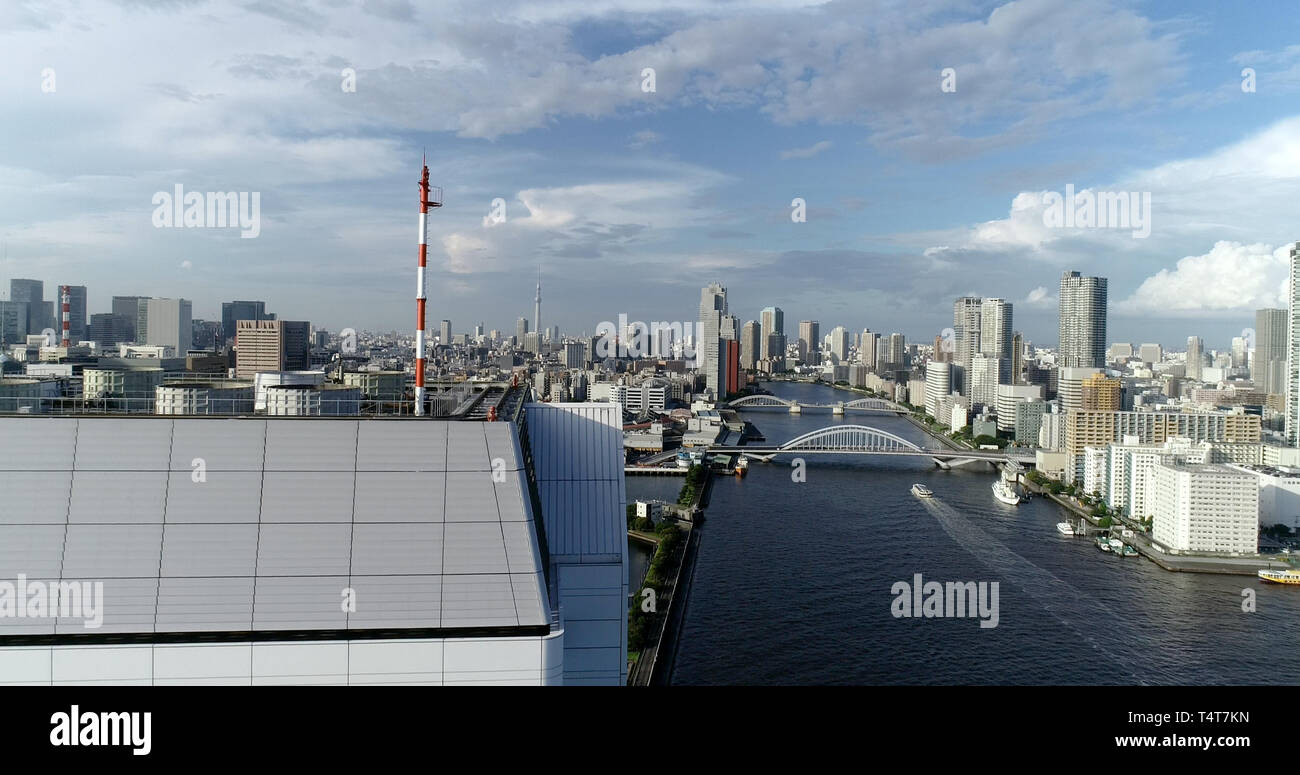 tokyo bay in aerial view Stock Photo - Alamy