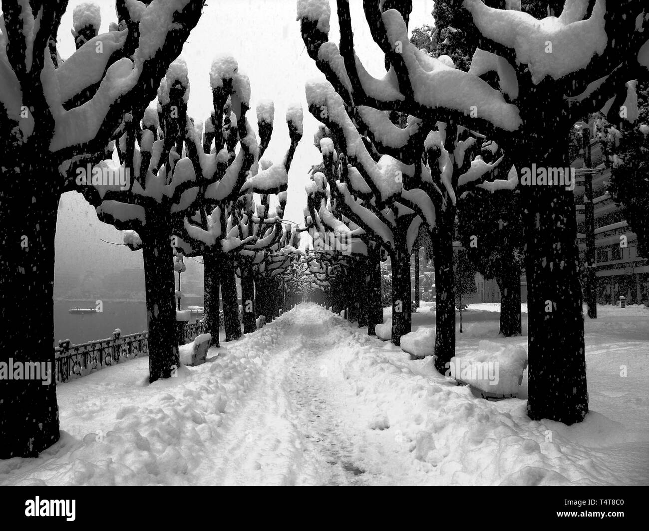 333dprmf hi-res stock photography and images - Alamy