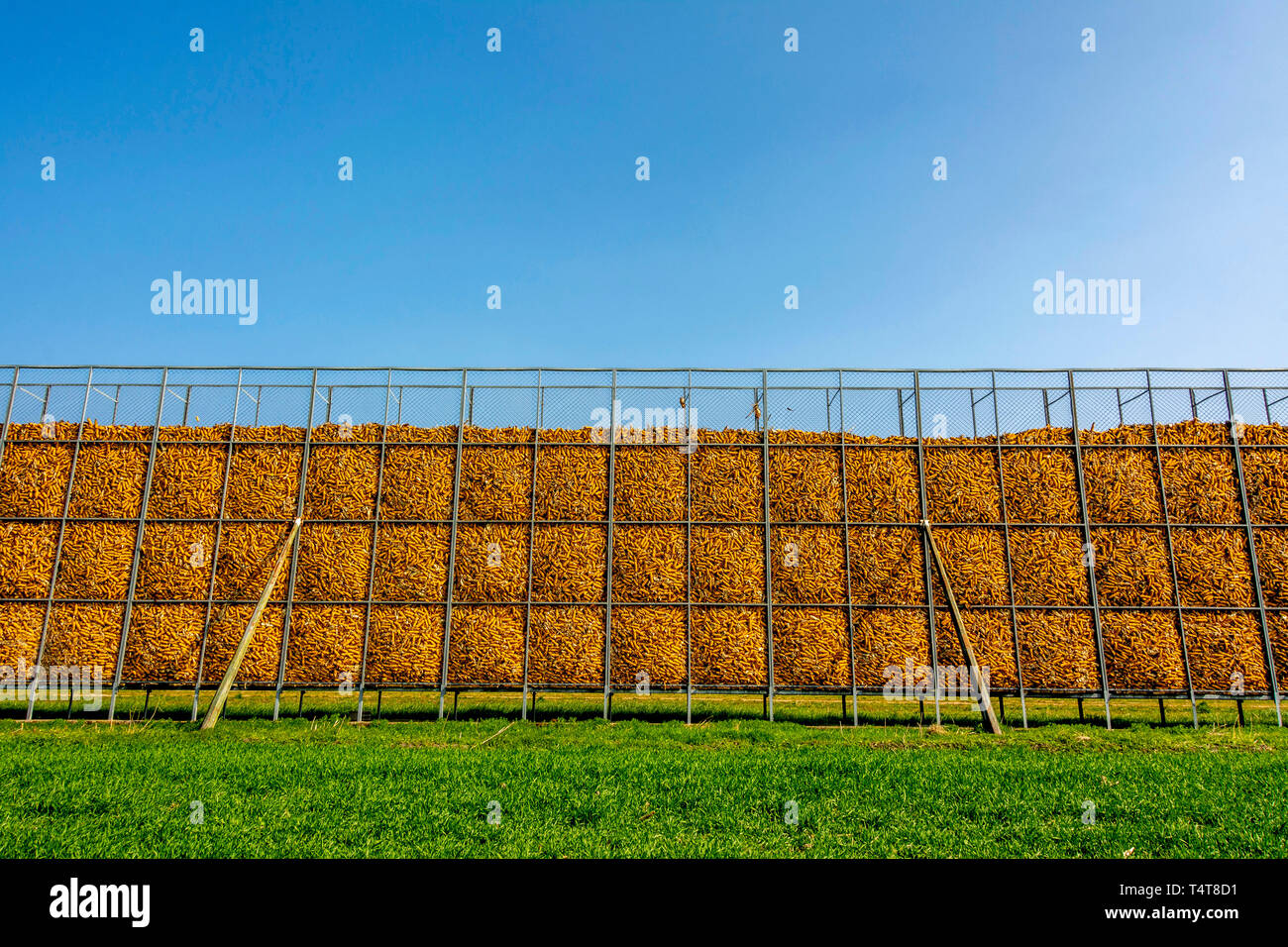 Corn Storage Structure in Agricultural Field Under Clear Blue Sky Stock ...