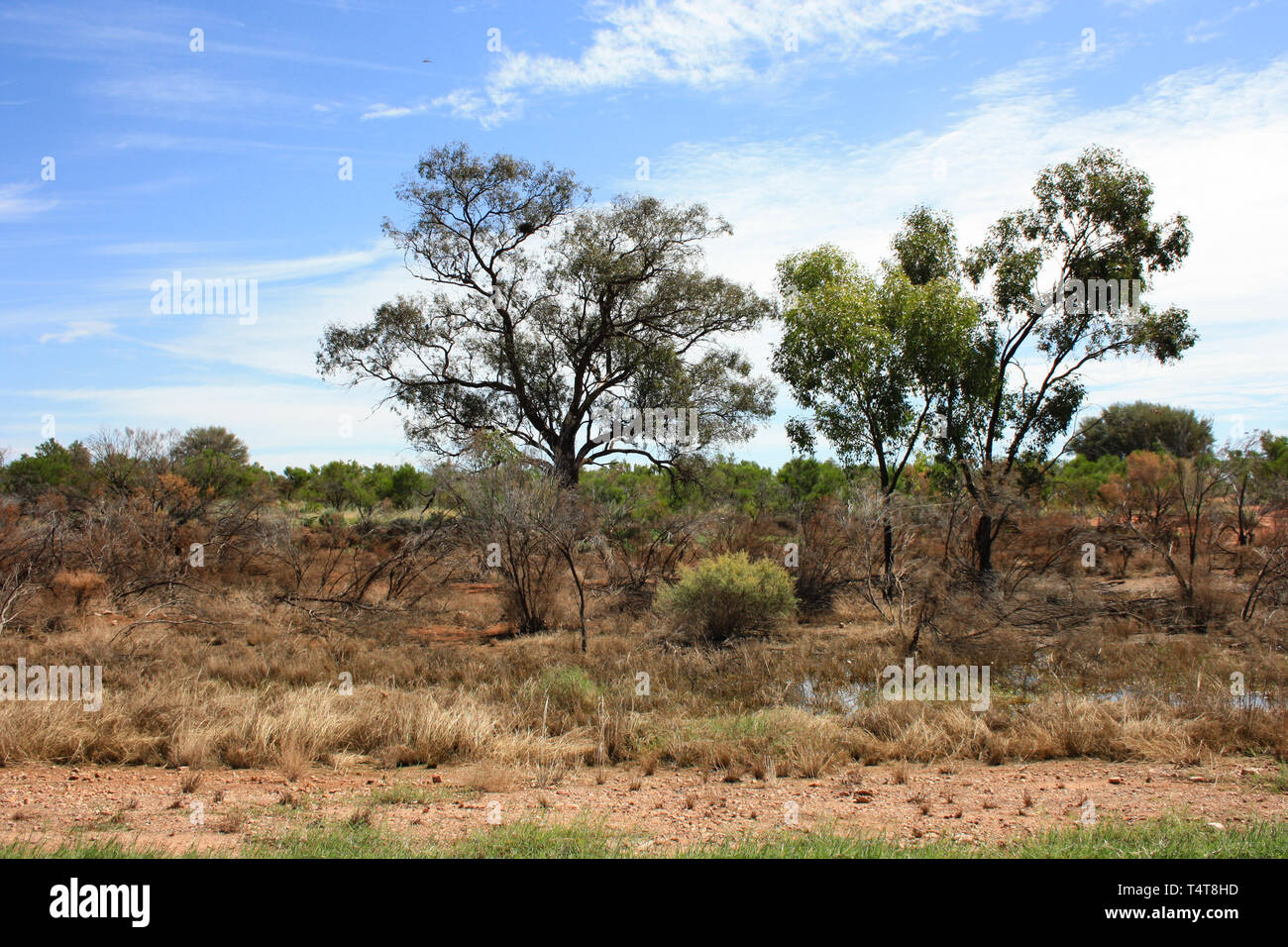 Australia outback grassland grass hi-res stock photography and images ...