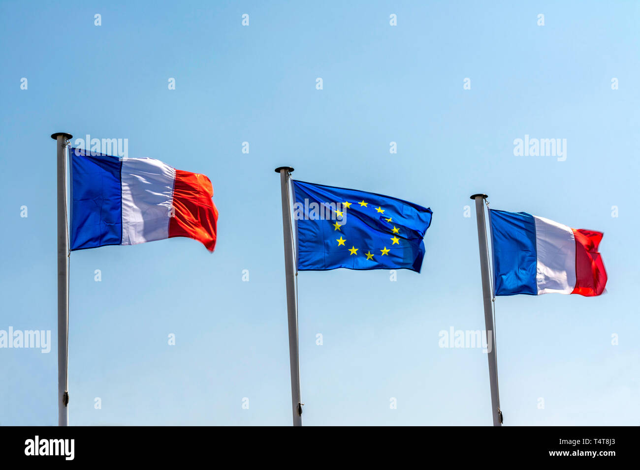 French emblem hi-res stock photography and images - Alamy