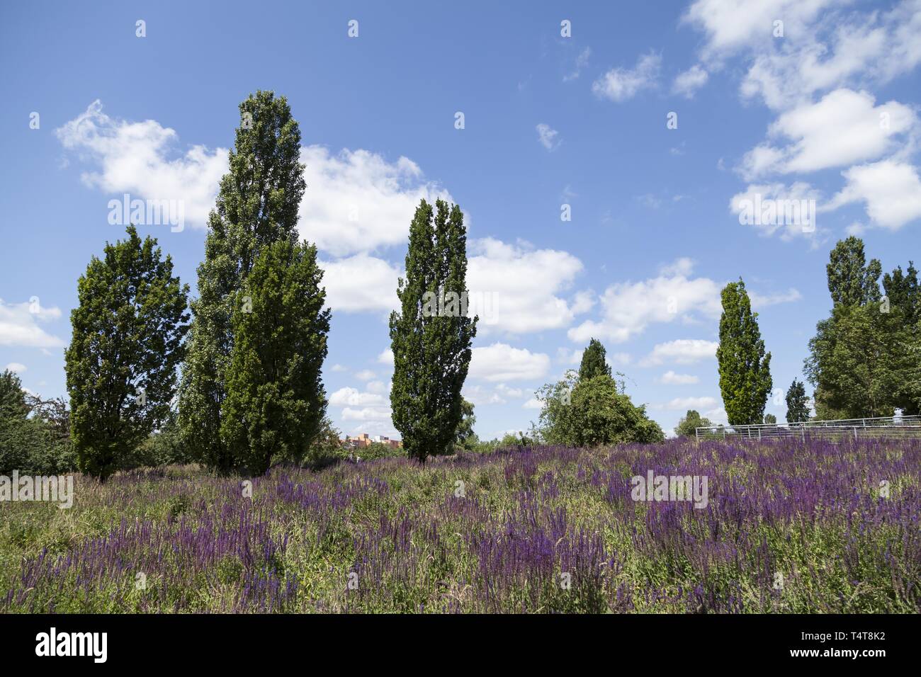 Mauerpark hi-res stock photography and images - Alamy