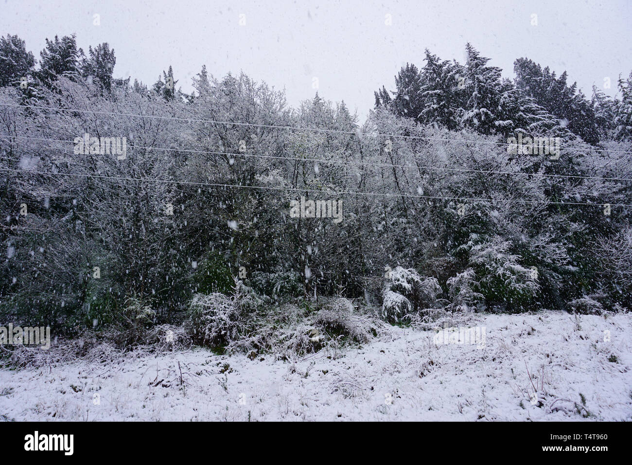 Beautiful snowfall hi-res stock photography and images - Alamy